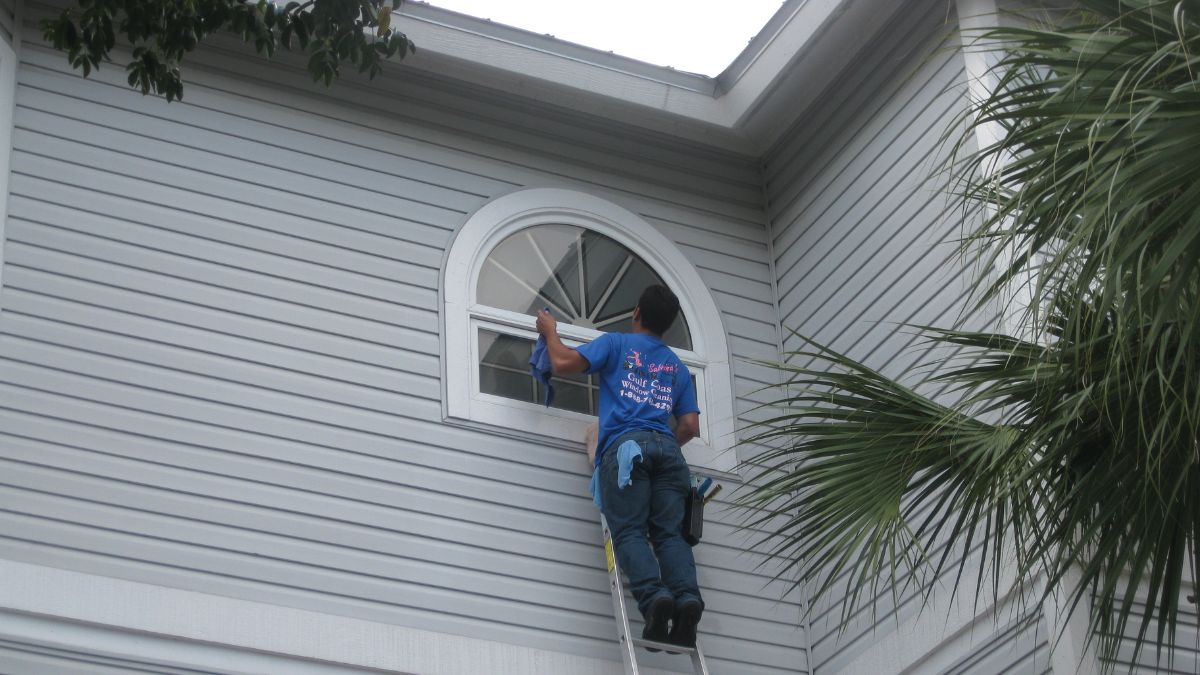 How Often Should You Wash Your Windows To Minimize Health And Property ...